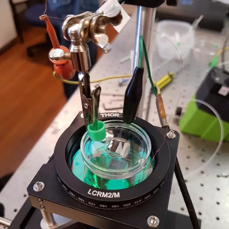 Thought control technology is coming out of science fiction and into ...