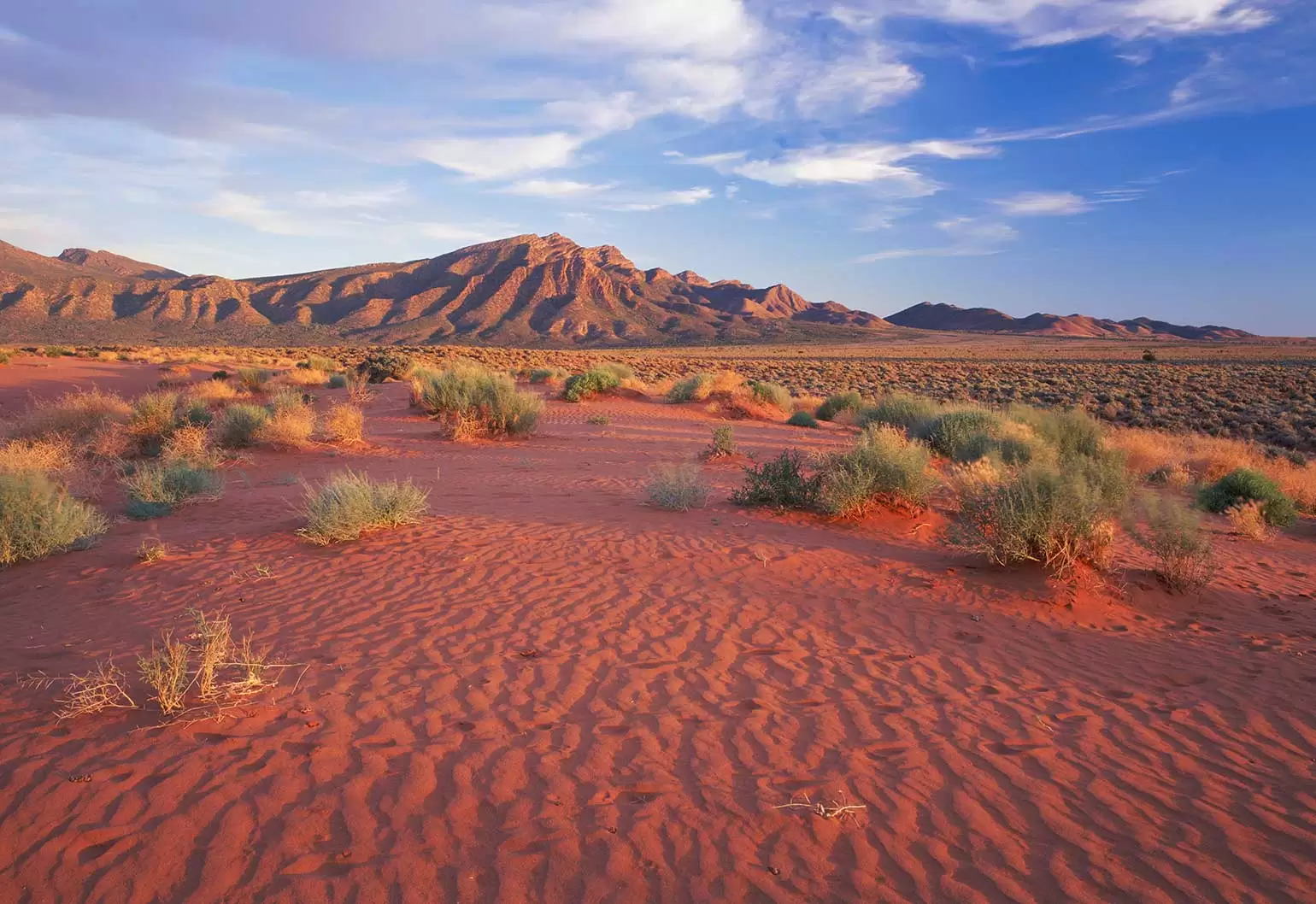 Researchers put a Mars rover’s life-detecting techniques to the test in ...