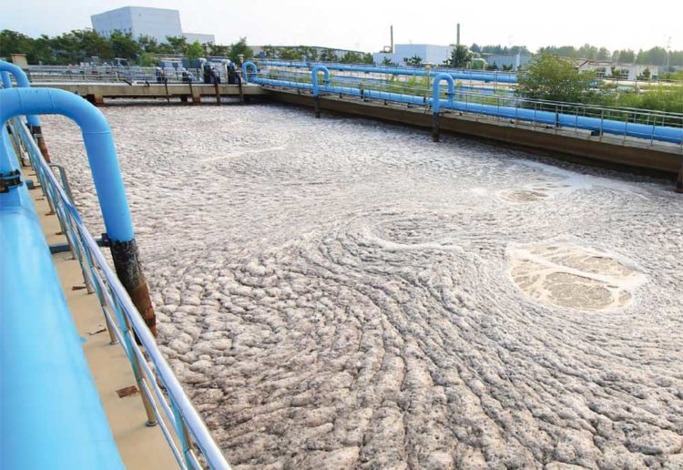 This engineer is making the world a better place — through sludge - Create