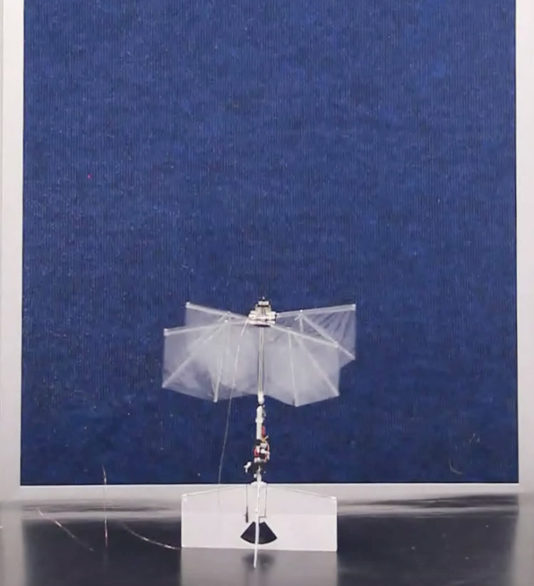 By flapping its ‘wings’, this drone soars above the rest - create digital