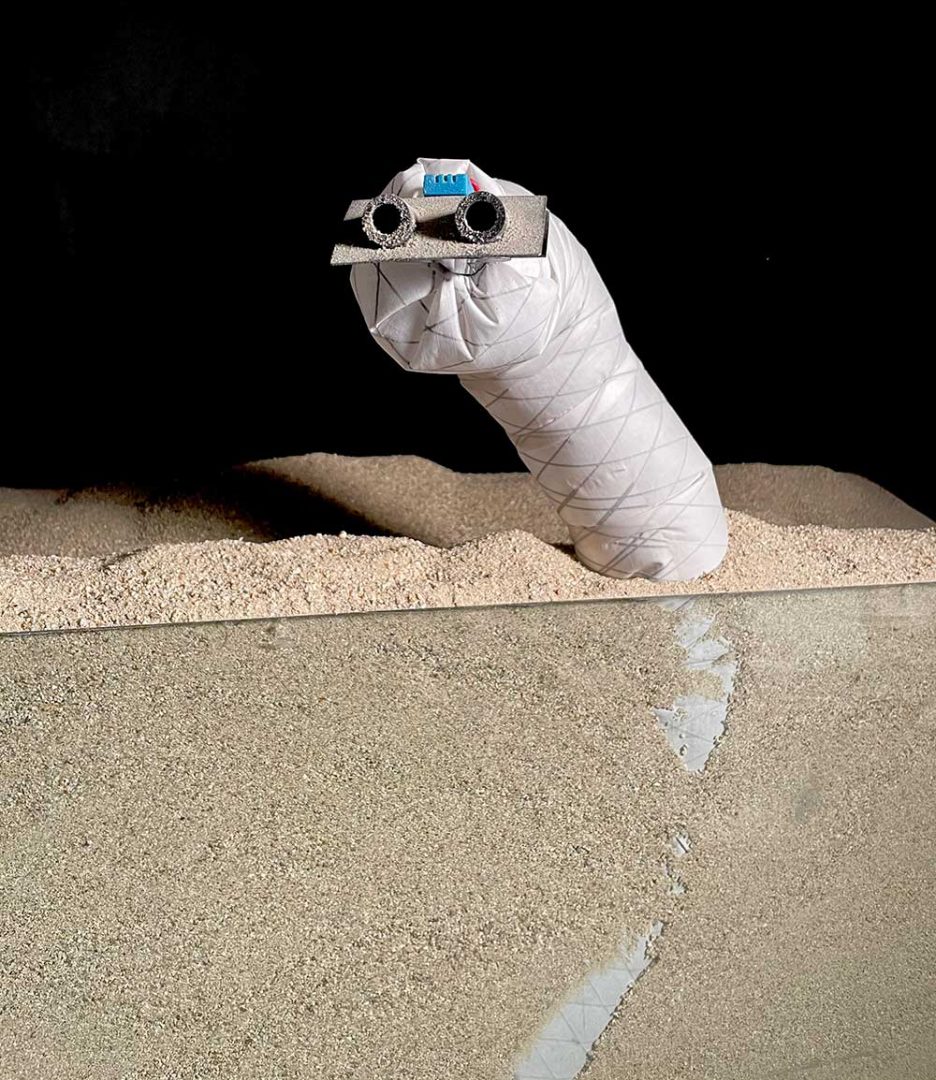 This burrowing robot mimics nature to snake underground - create digital