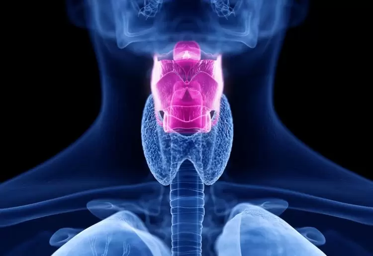 AI enables laryngectomy patients to get their voice back - create digital