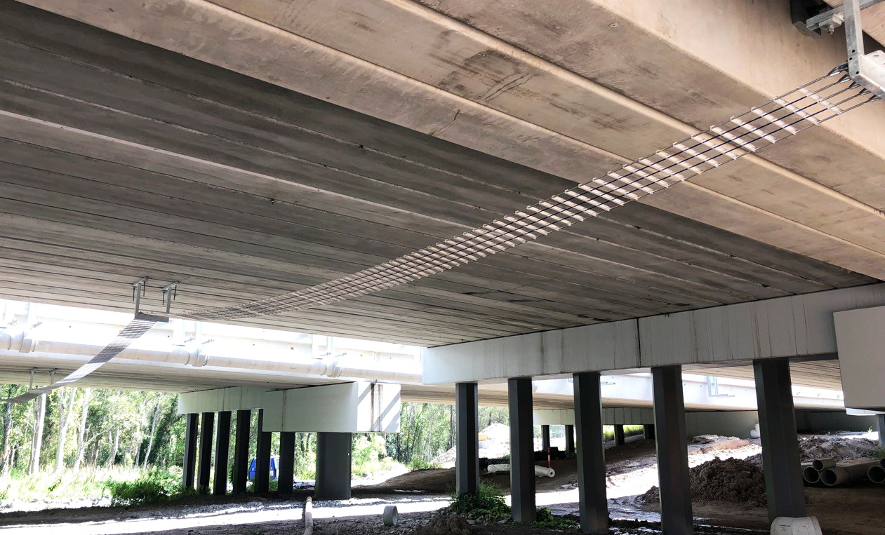 The rise of wildlife bridges and crossings - create digital