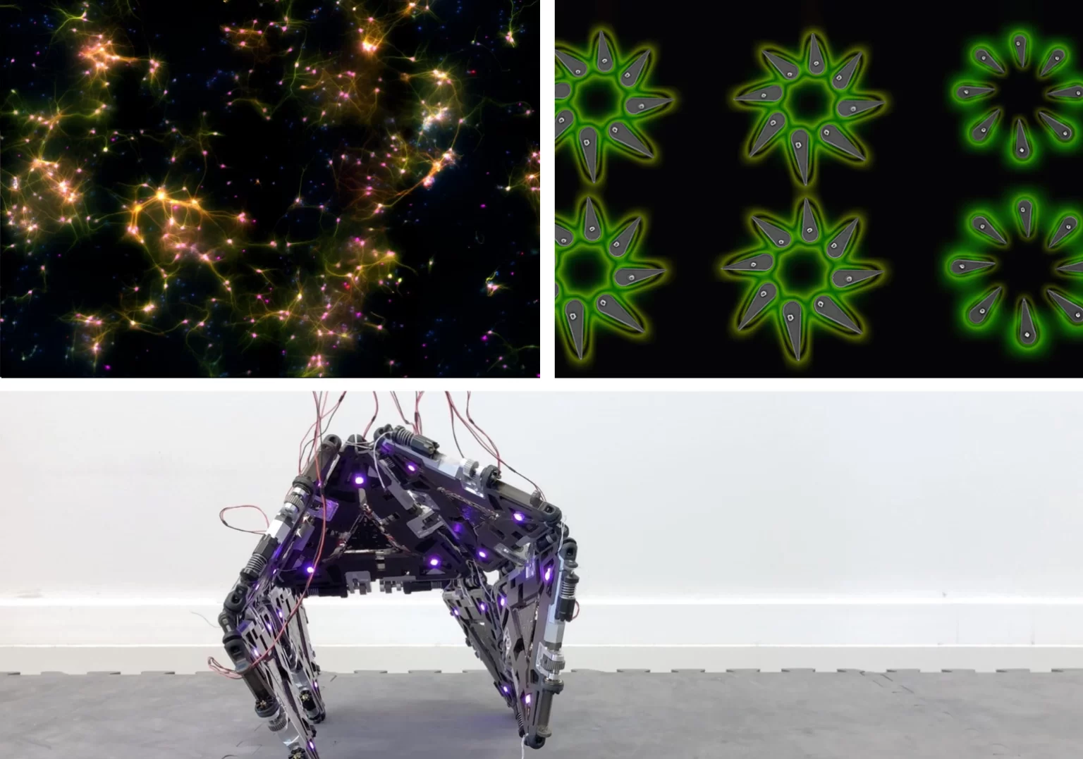 Techwatch: The latest tech innovations in Australia and beyond - create ...