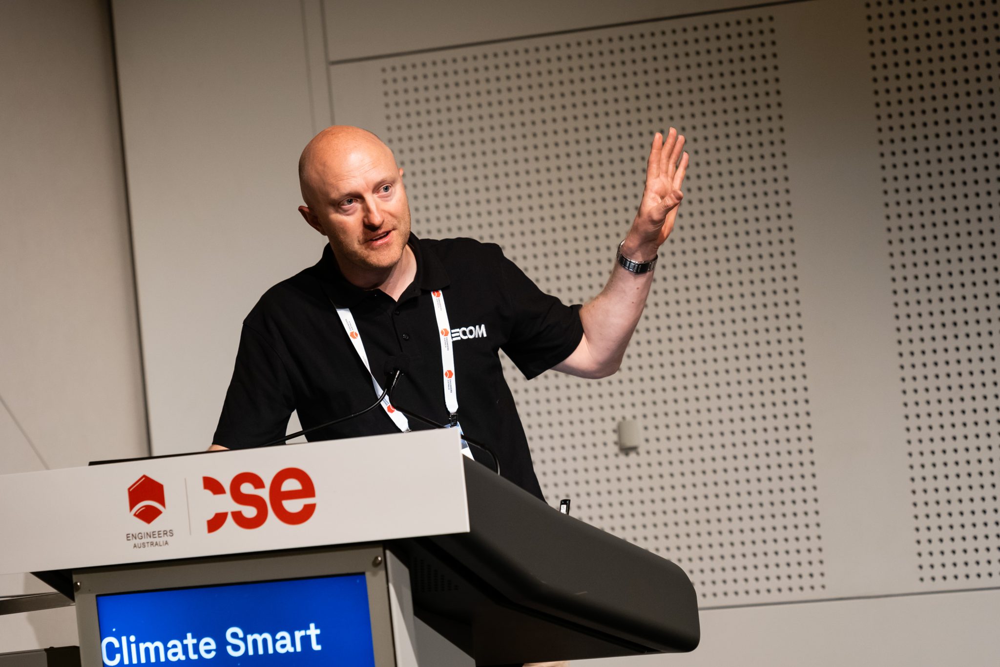 T3 Collingwood and its innovative approach to mass timber buildings ...