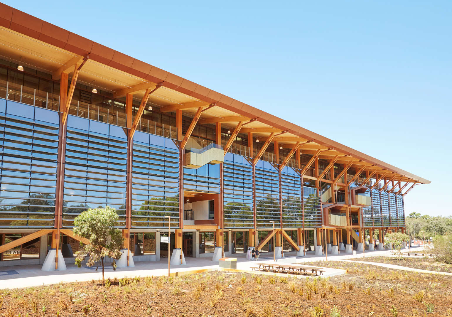 Infographic: Behind the scenes of an award-winning mass timber building ...