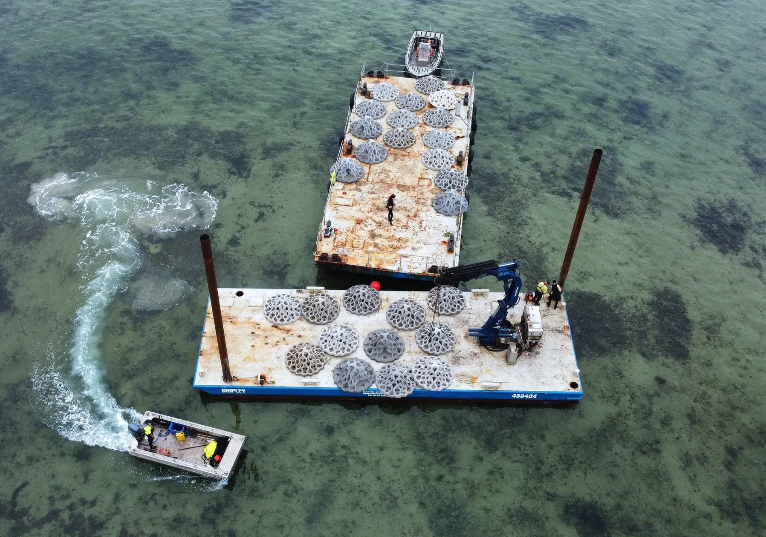 These artificial reefs are helping to slow down coastal erosion ...