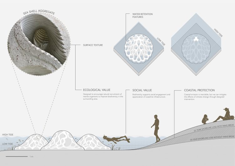 These artificial reefs are helping to slow down coastal erosion ...