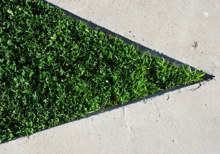 Fortifying green cement for low-carbon construction - create digital